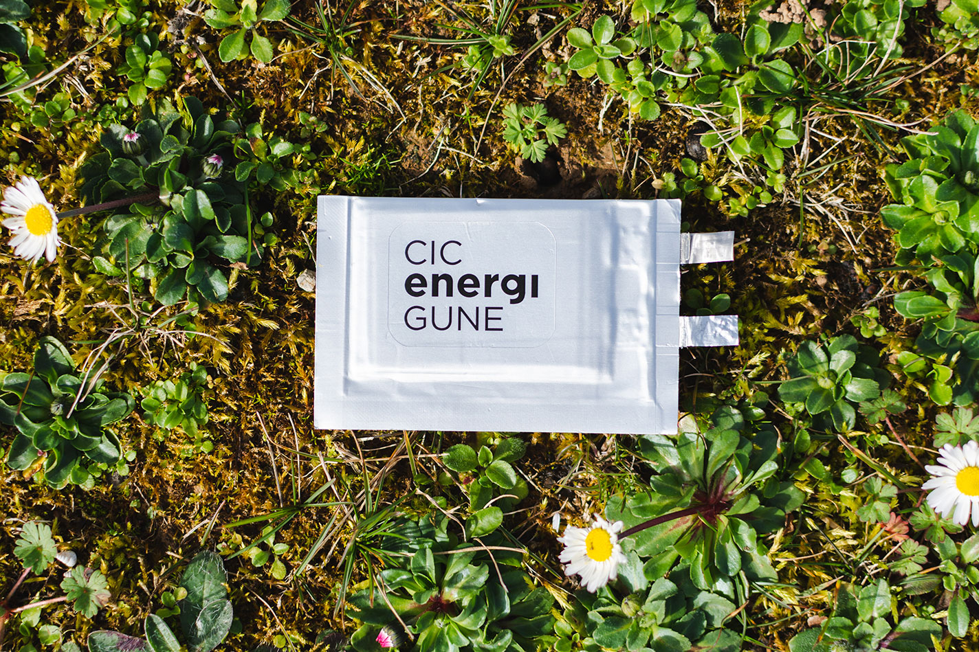 Biological systems for energy storage solutions | CIC energiGUNE