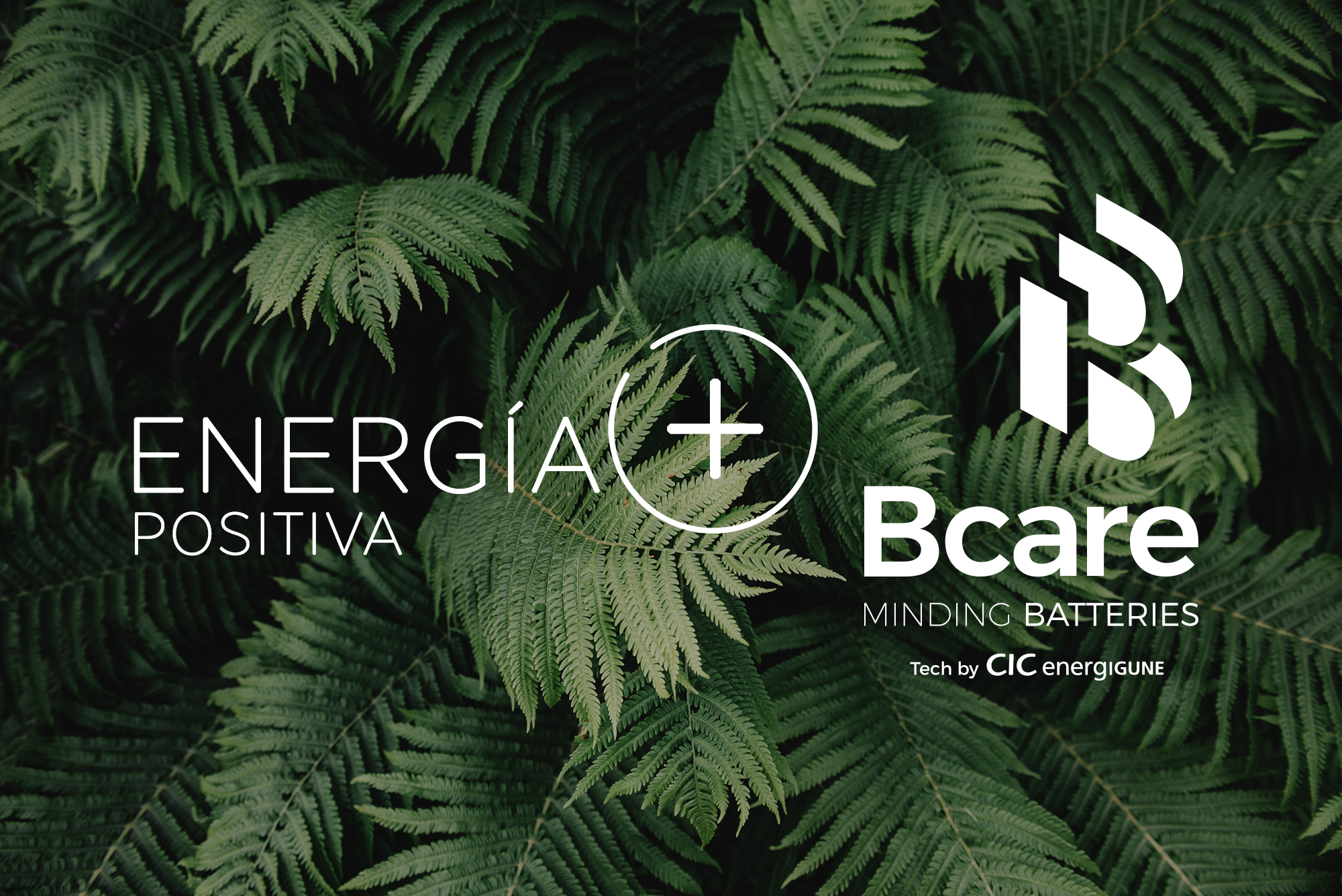 BCARE selected by the “Positive Energy+” platform to develop its ...
