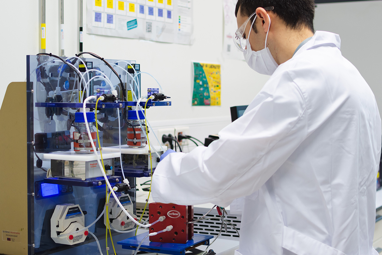 Redox flow batteries: a sustainable technology | CIC energiGUNE